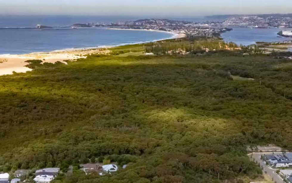 Ask An Agent: Fern Bay - Newcastle Living